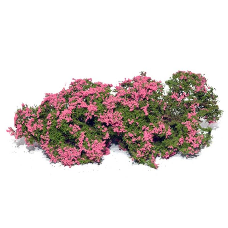 Flowering Shrubs – Pink Model Scene 701-93S – Scale Model Shop