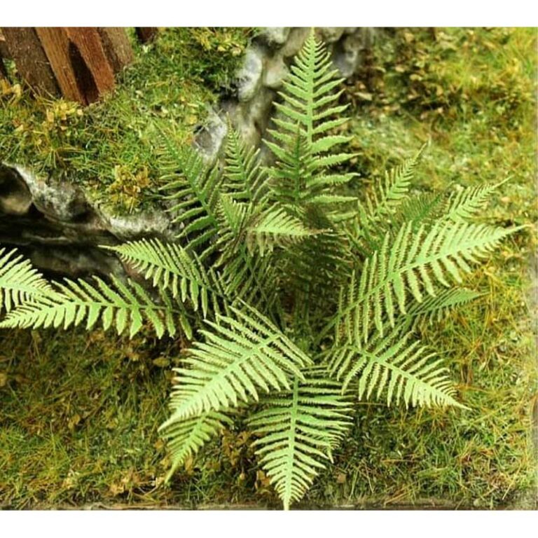 Jungle set 1 Model Scene VG3-031